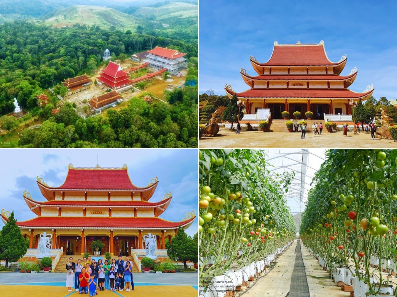 Chương trình tour Buôn Ma Thuột Măng Đen 4 ngày 3 đêm